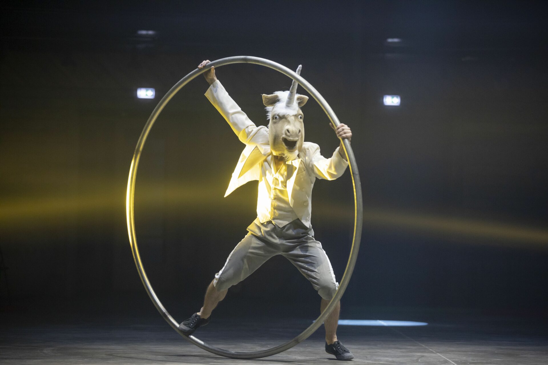 Rīgas cirkā sākas Ziemassvētku izrādes - cirks.lv