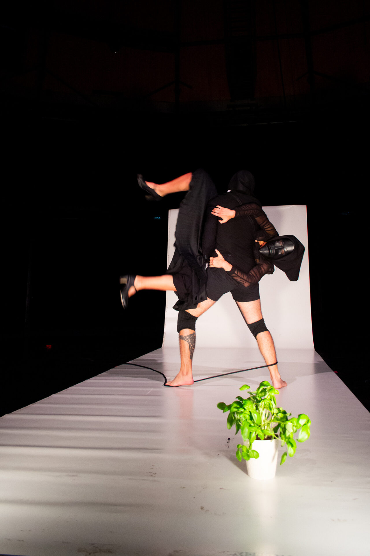 Photos and video: circusnext lab at Rīgas Cirks - cirks.lv